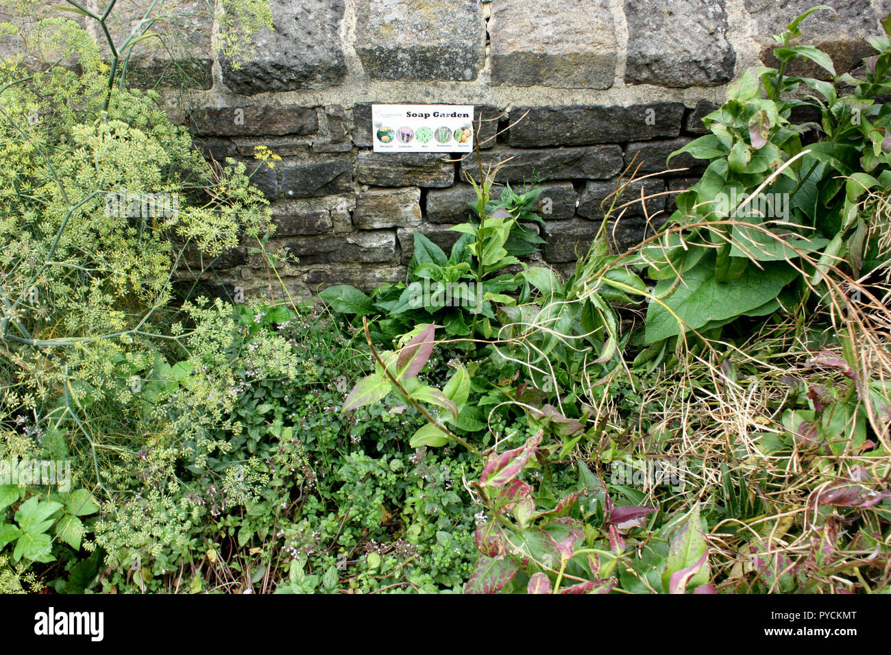 Examples of food beds as part of the Incredible Edible scheme in ...
