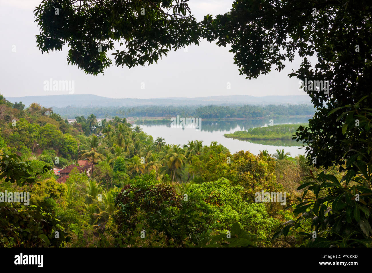Goa india tropical rainforest hi-res stock photography and images - Alamy