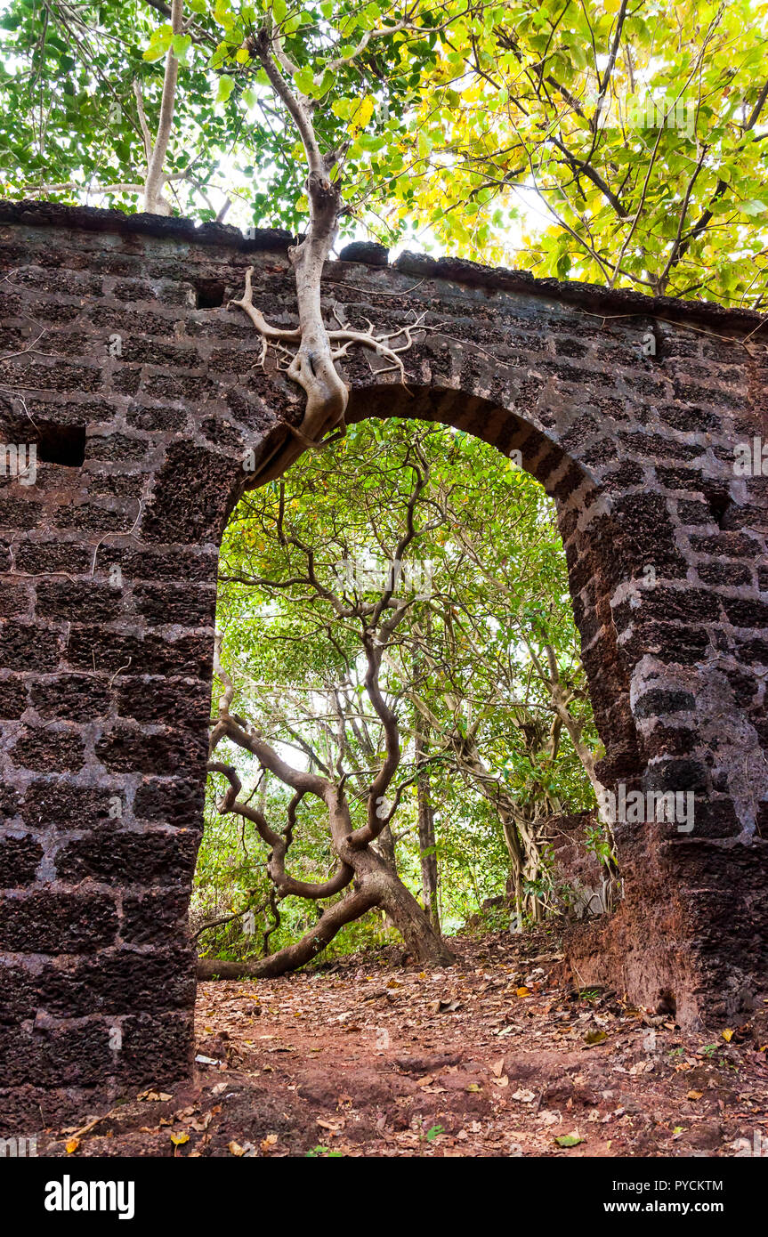 Here you can see the ancient overgrown stone arc in the middle of ...
