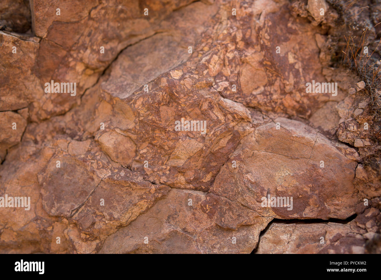 Conglomerate structures hi-res stock photography and images - Alamy