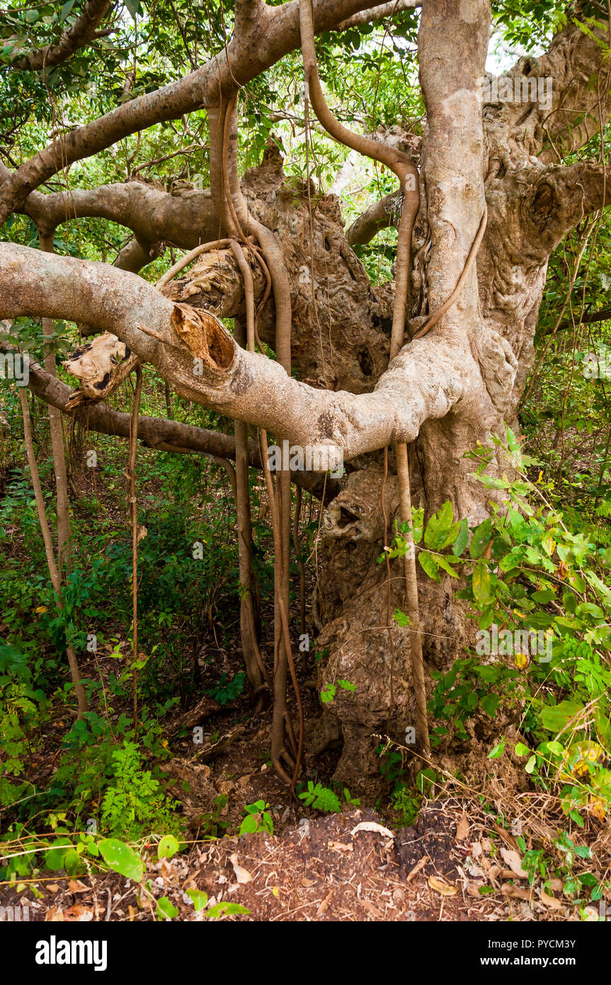 Here you can see a dangerous hole in the ground in the middle of the ...