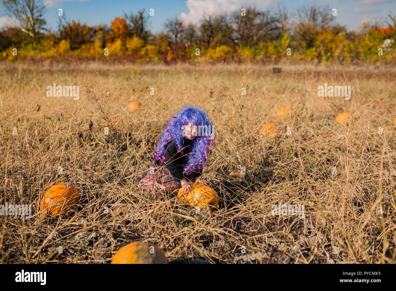 Fall field hi-res stock photography and images - Alamy