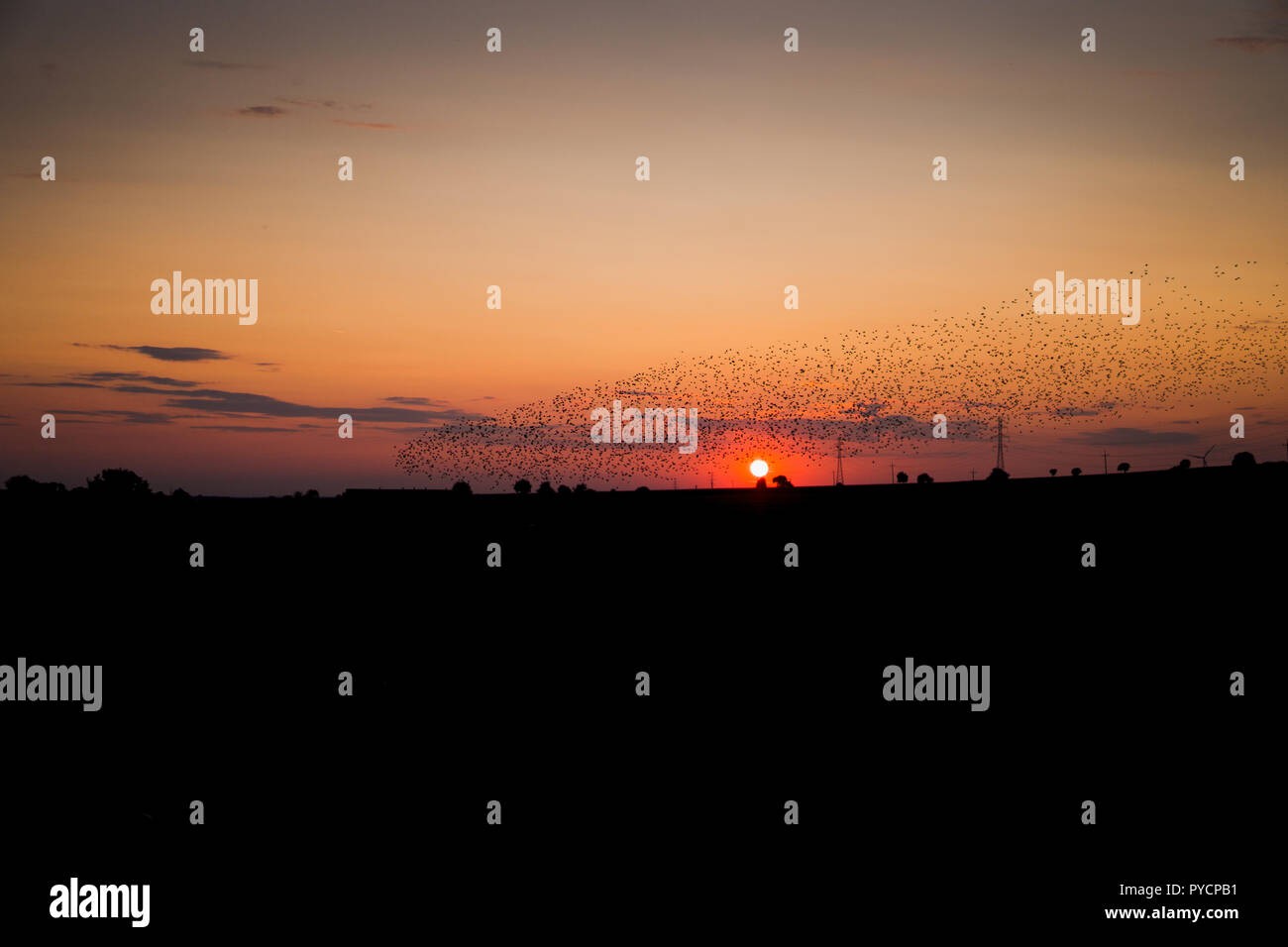 Formation fying hi-res stock photography and images - Alamy