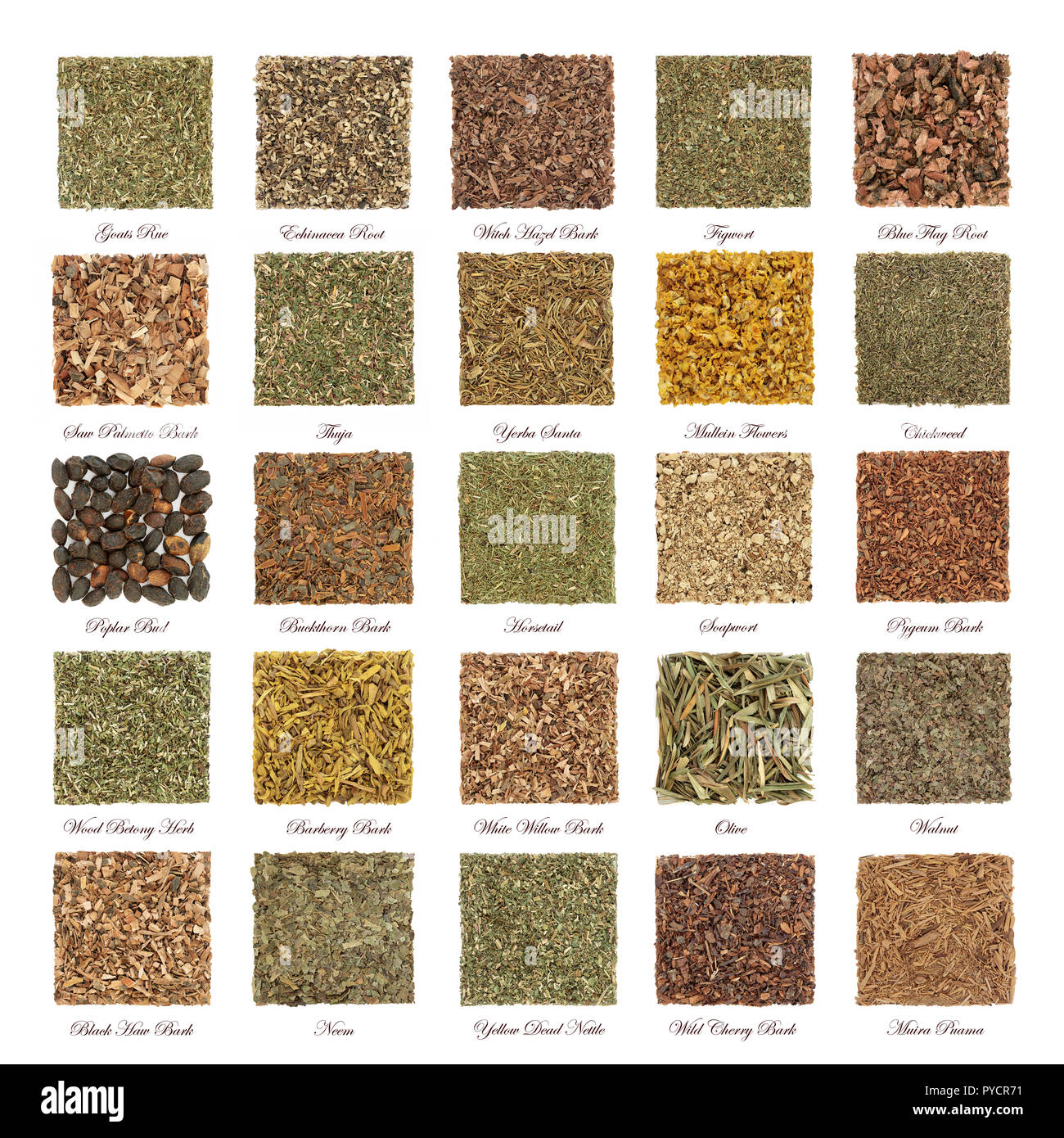 Large collection of herbs used in natural alternative herbal medicine ...