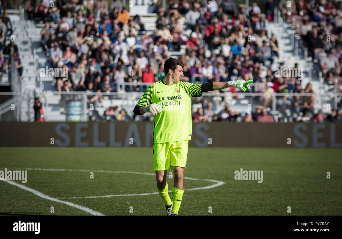 Sacramento Republic Goalkeeper Josh Cohen Stock Photo - Alamy