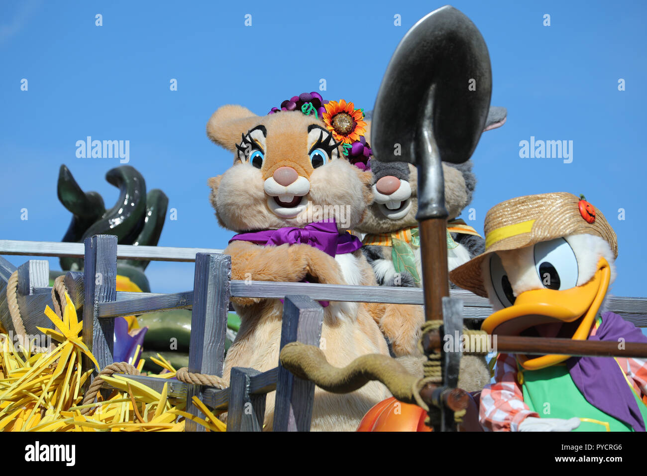 Donald duck disneyland hi-res stock photography and images - Alamy