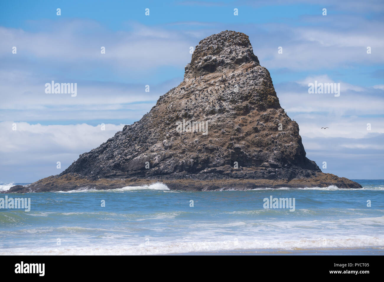 Massive rock formation sticking out of Pacific ocean. Home to cormorant ...