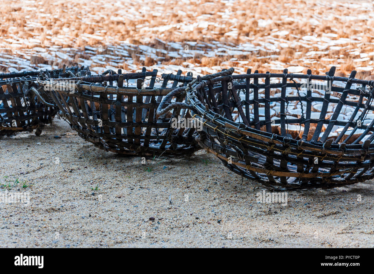 Here you can see the Indian coconut farm and their method of carrying ...