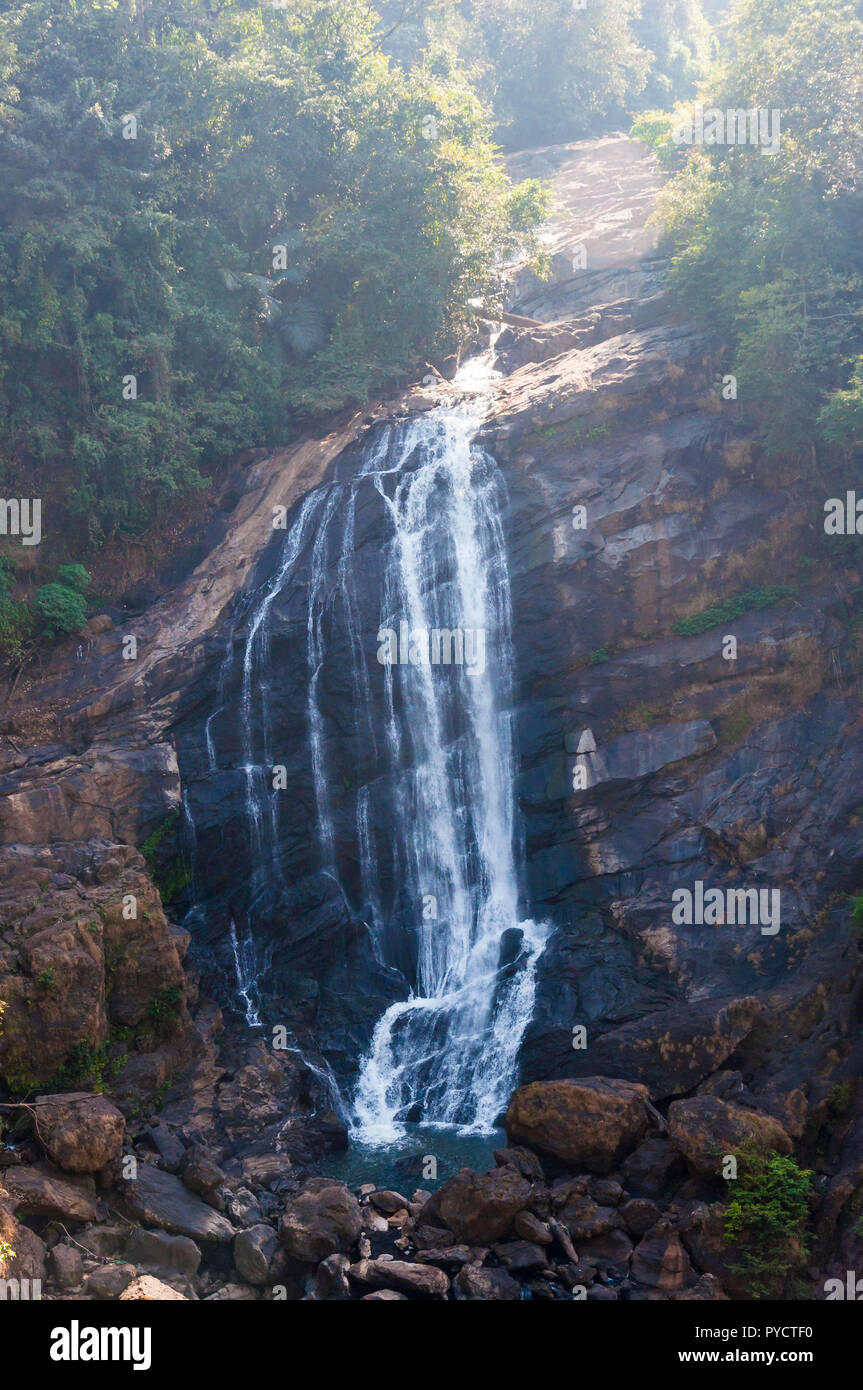 This shot was made in Munnar mountains surroundings in Kerala state ...
