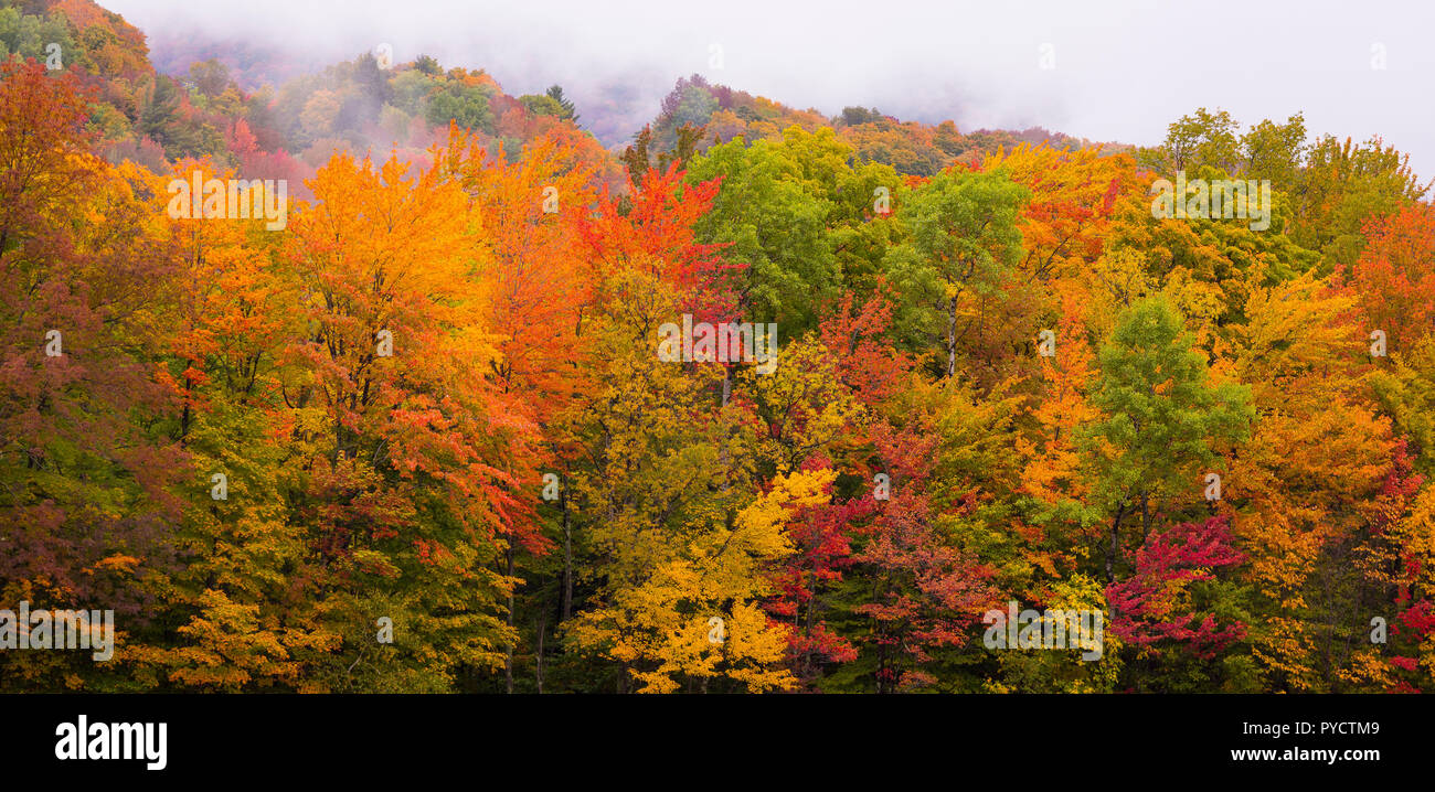WARREN, VERMONT, USA - Fall foliage in Green Mountains, Mad River ...