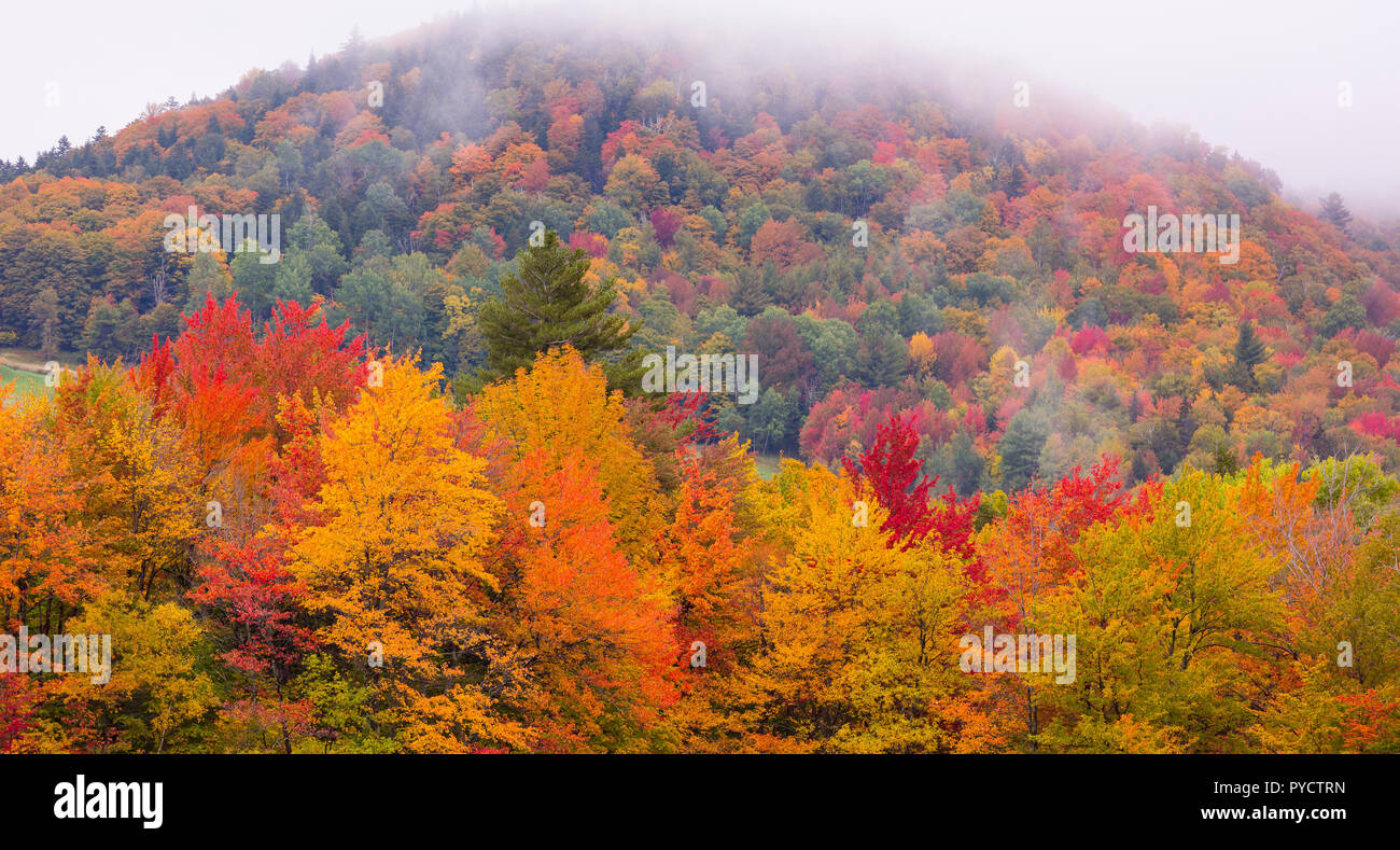 WARREN, VERMONT, USA - Fall foliage in Green Mountains, Mad River ...