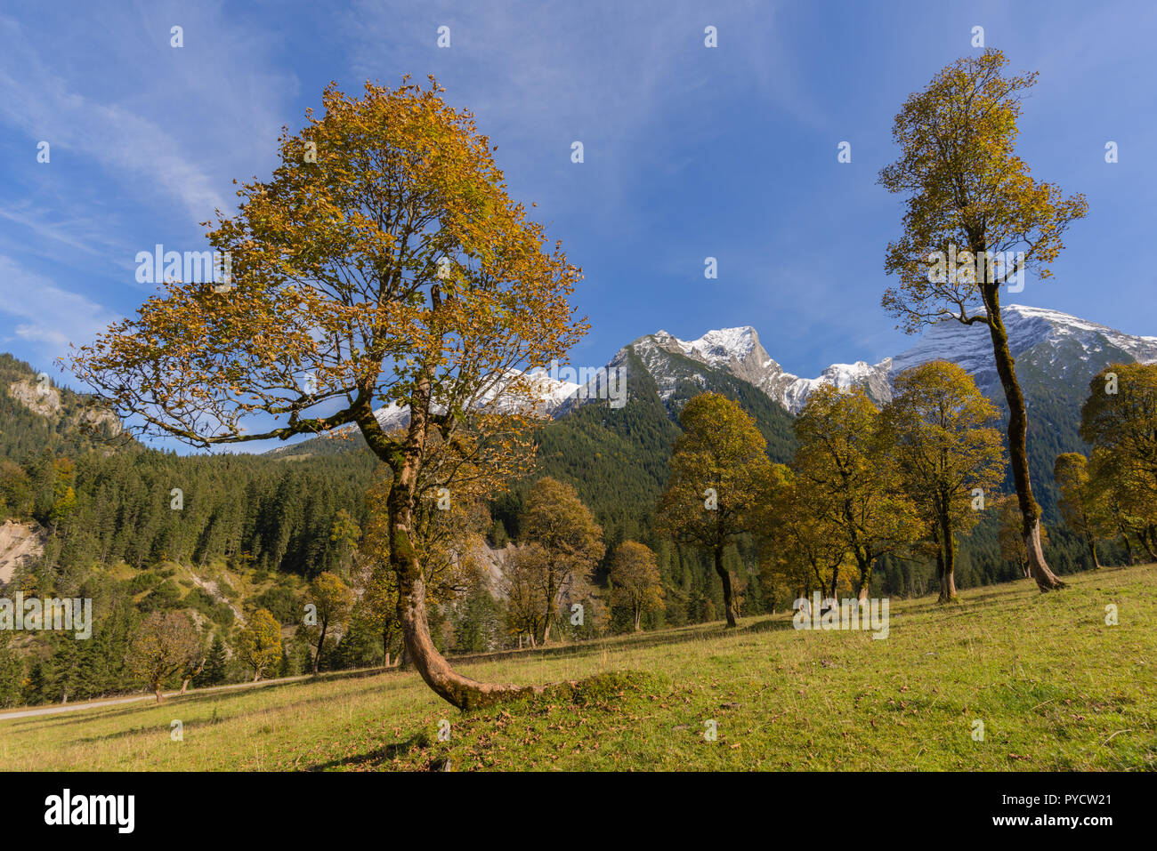 Engtal or Narrow Valley, Maple Valley, Grosser Ahornboden, Great Maple ...