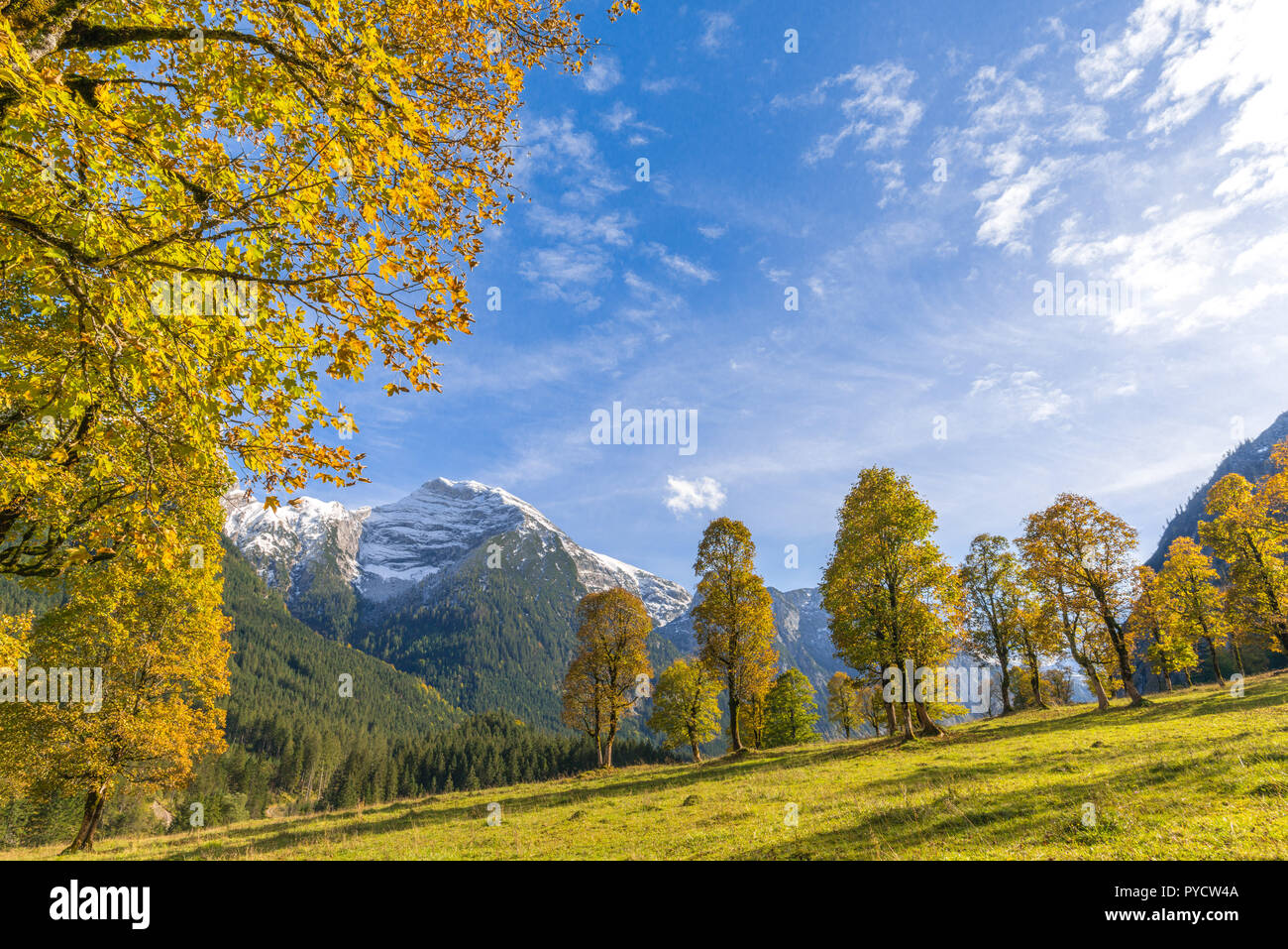 Engtal or Narrow Valley, Maple Valley, Grosser Ahornboden, Great Maple ...