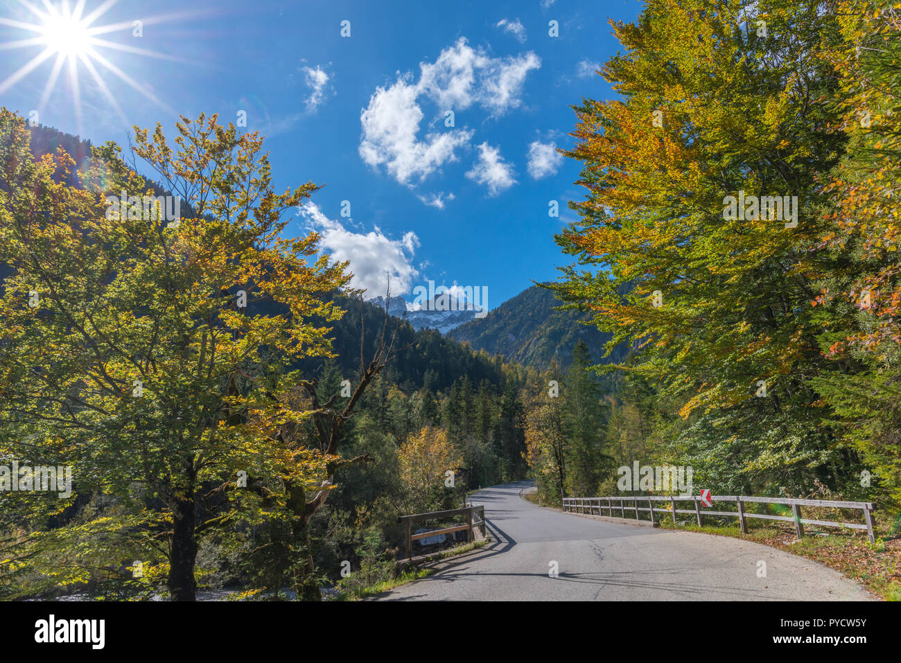 Empty road mountains trees hi-res stock photography and images - Alamy