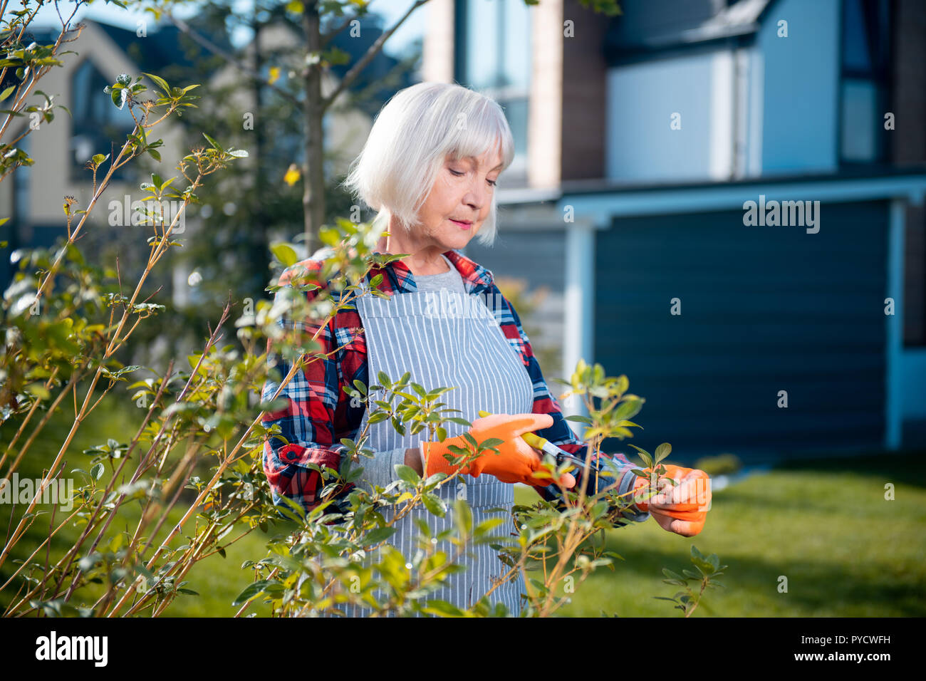 Old lady standing hi-res stock photography and images - Alamy