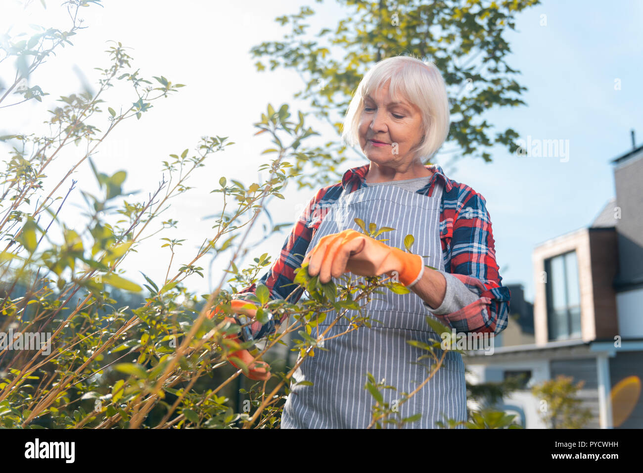 Nice old woman hi-res stock photography and images - Alamy