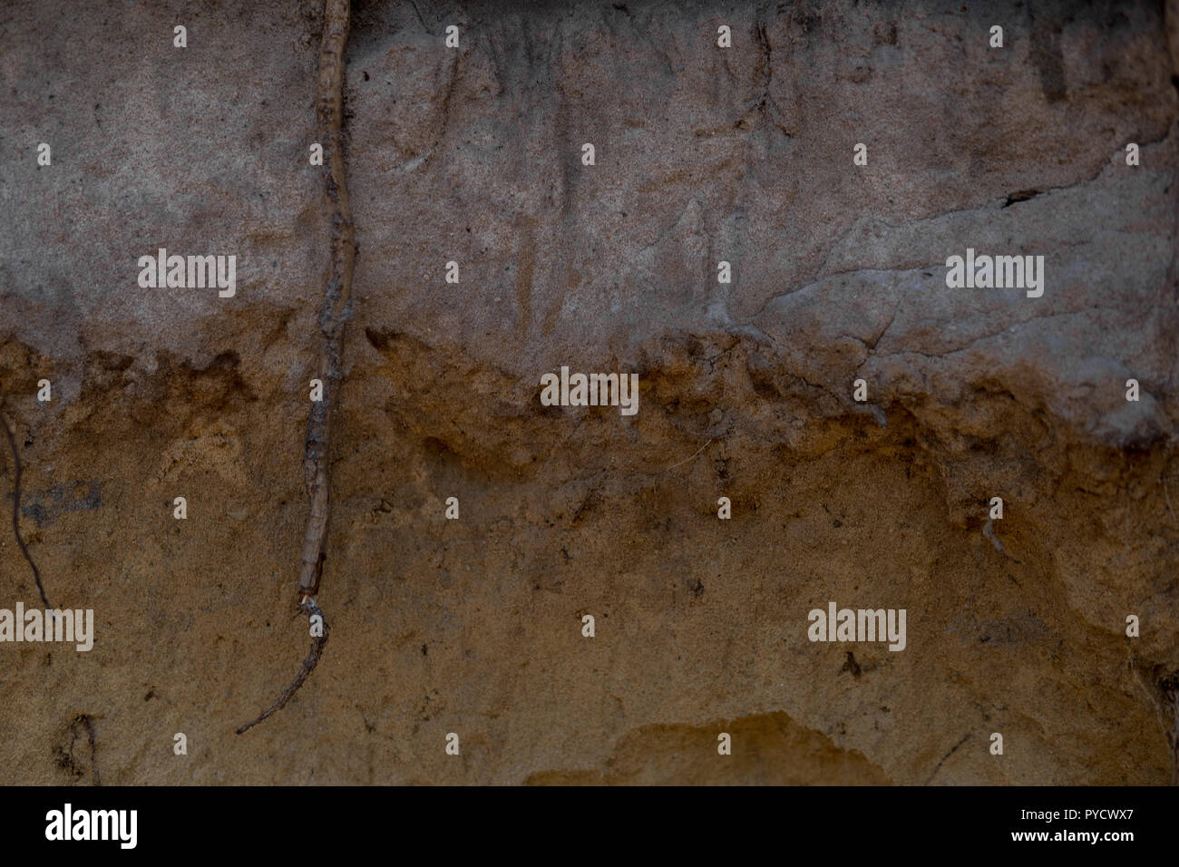 detail of a layers of podzol soil with visible borders Stock Photo - Alamy