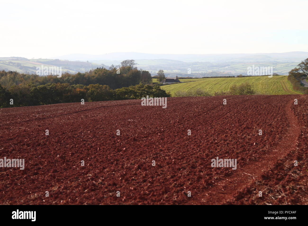 Red Soil