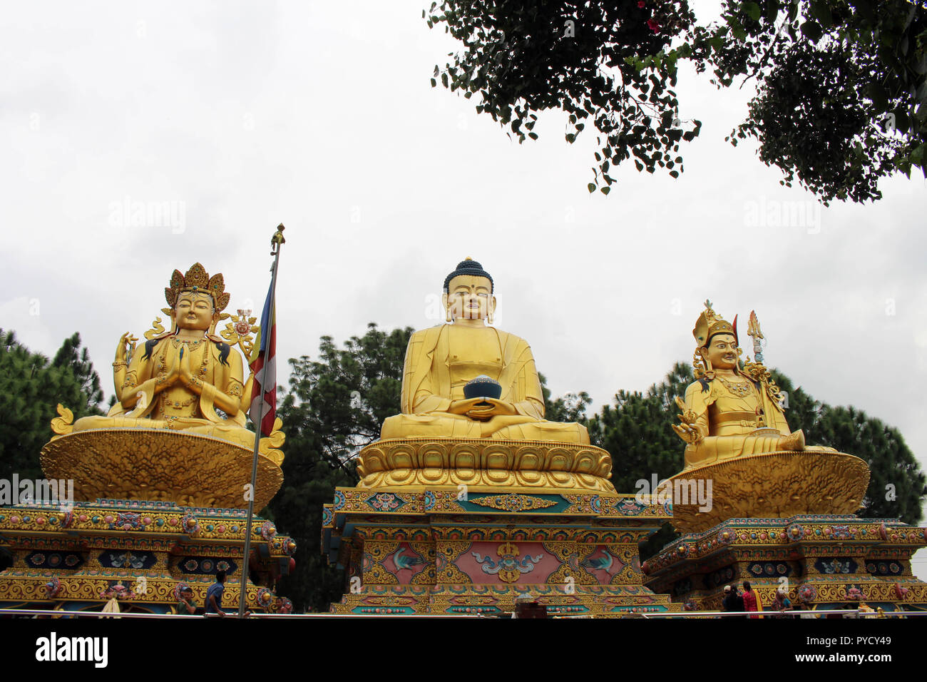 The golden Buddha statues and stupa at Amideva Park on the foothill of ...
