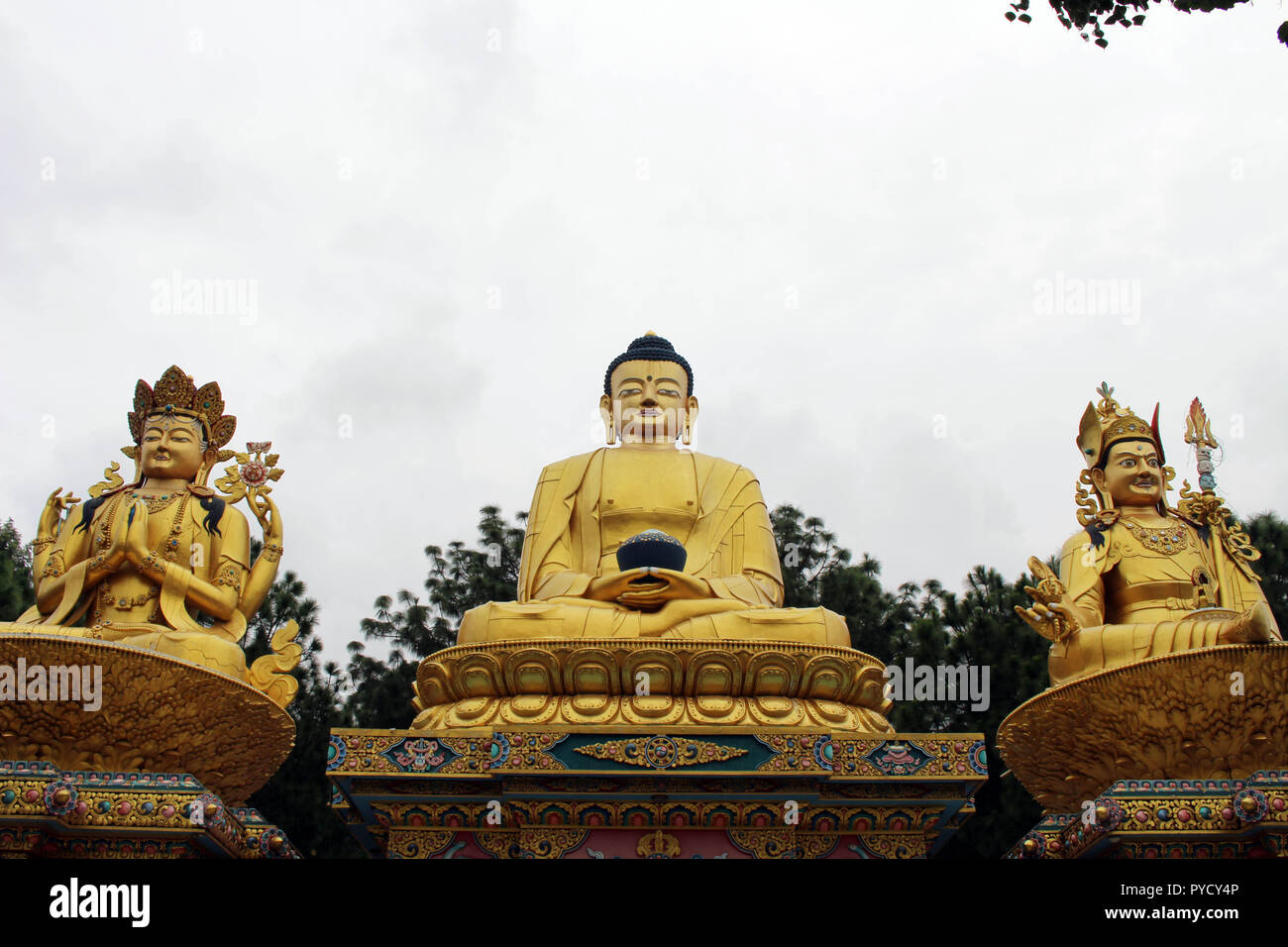 The golden Buddha statues and stupa at Amideva Park on the foothill of ...