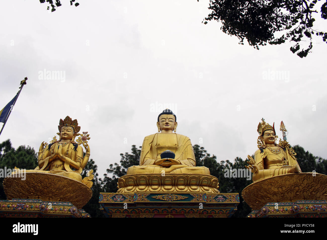 The golden Buddha statues and stupa at Amideva Park on the foothill of ...