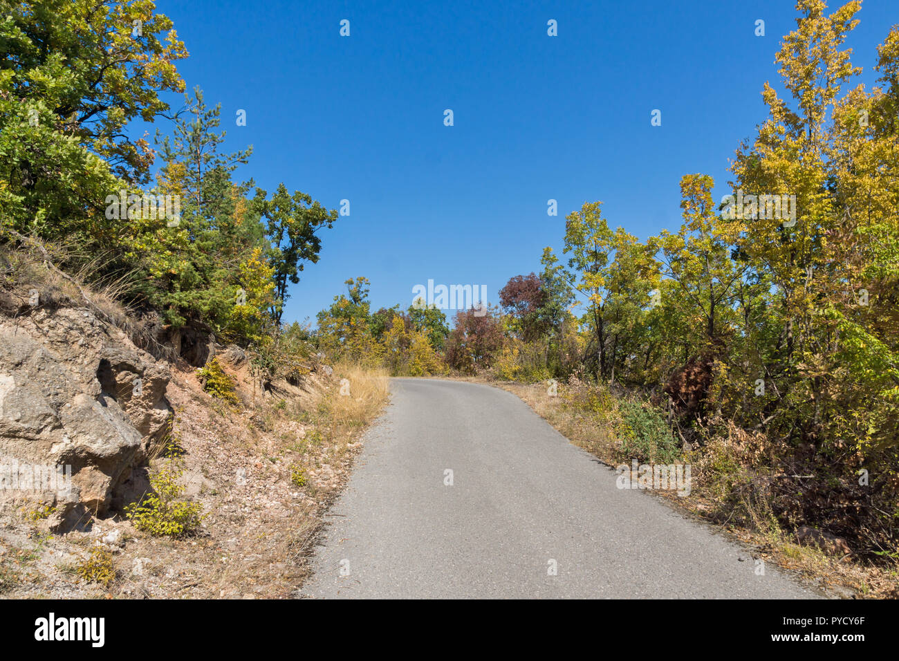 Autumn landscape of Ruen Mountain - northern part of Vlahina Mountain ...