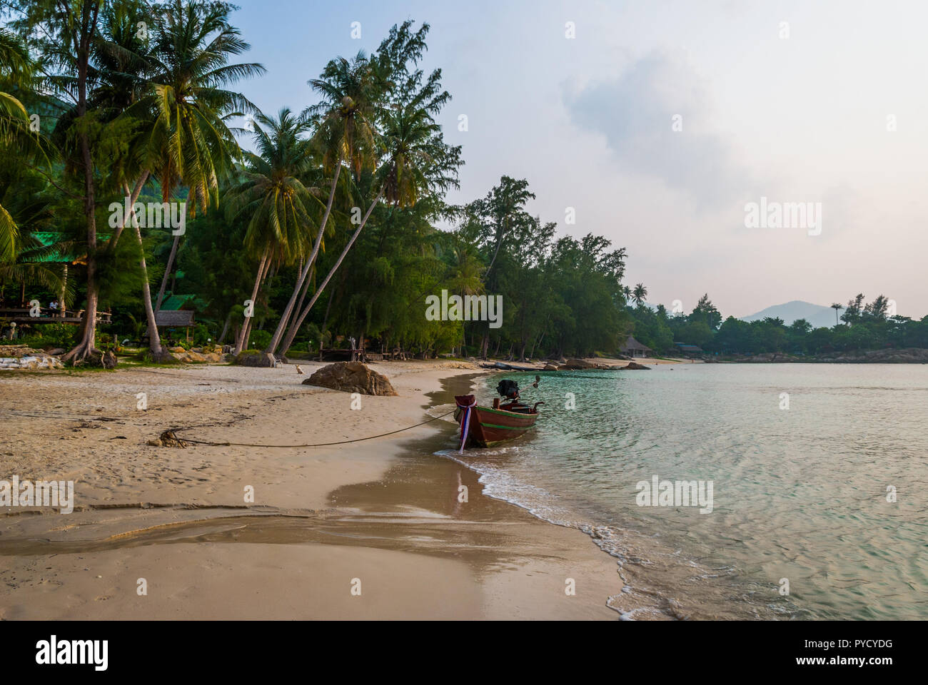 Typical thai boat at the sandy beach, Koh Pha Ngan, Thailand Stock ...