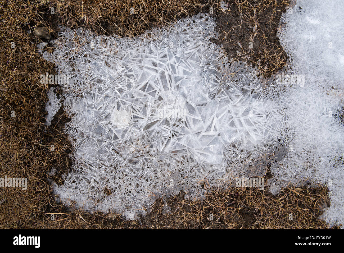 Texture of snow and ice flake from frozen place in nature at Zero-Point ...