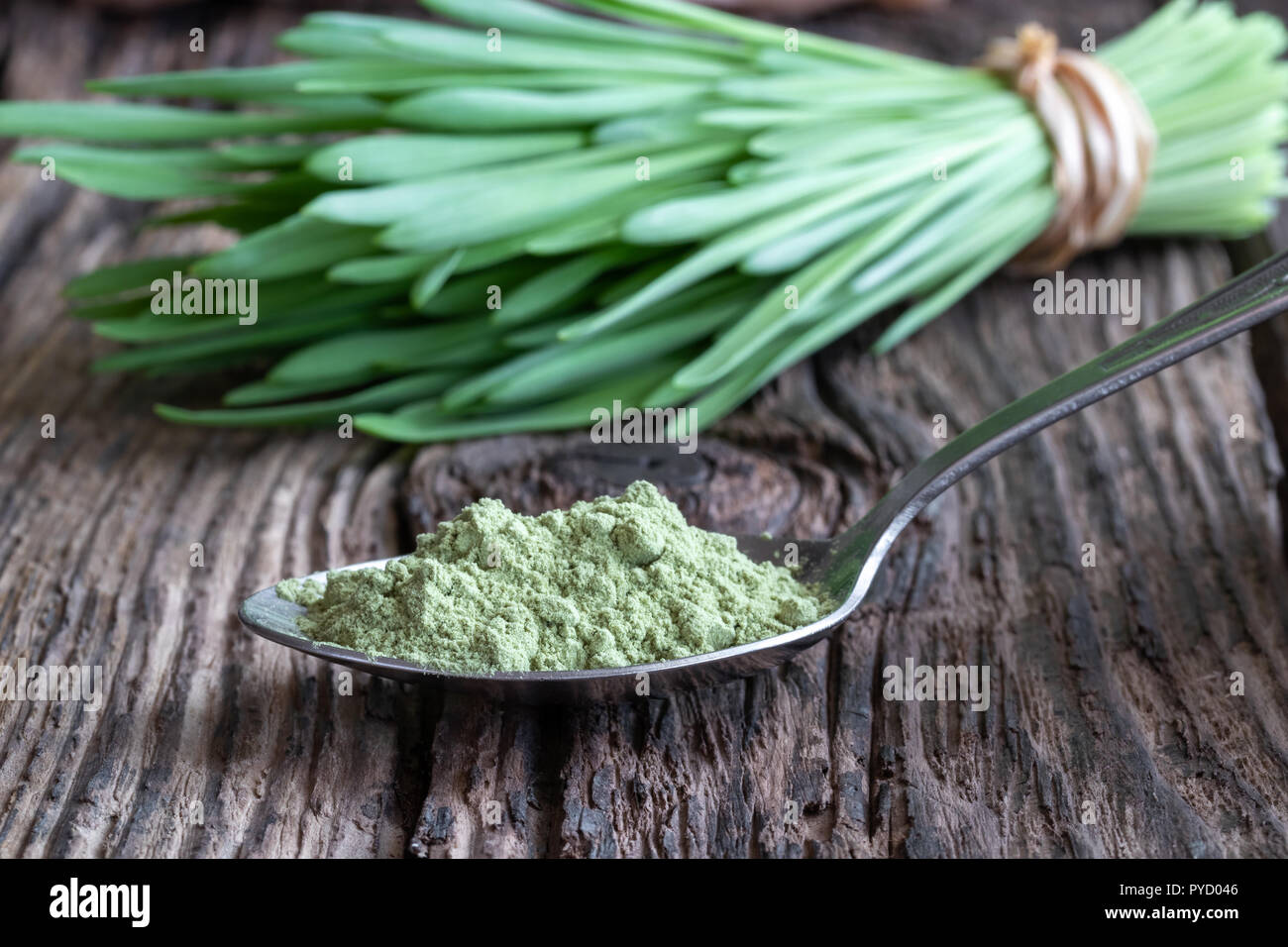 Barley young leaves hi-res stock photography and images - Alamy