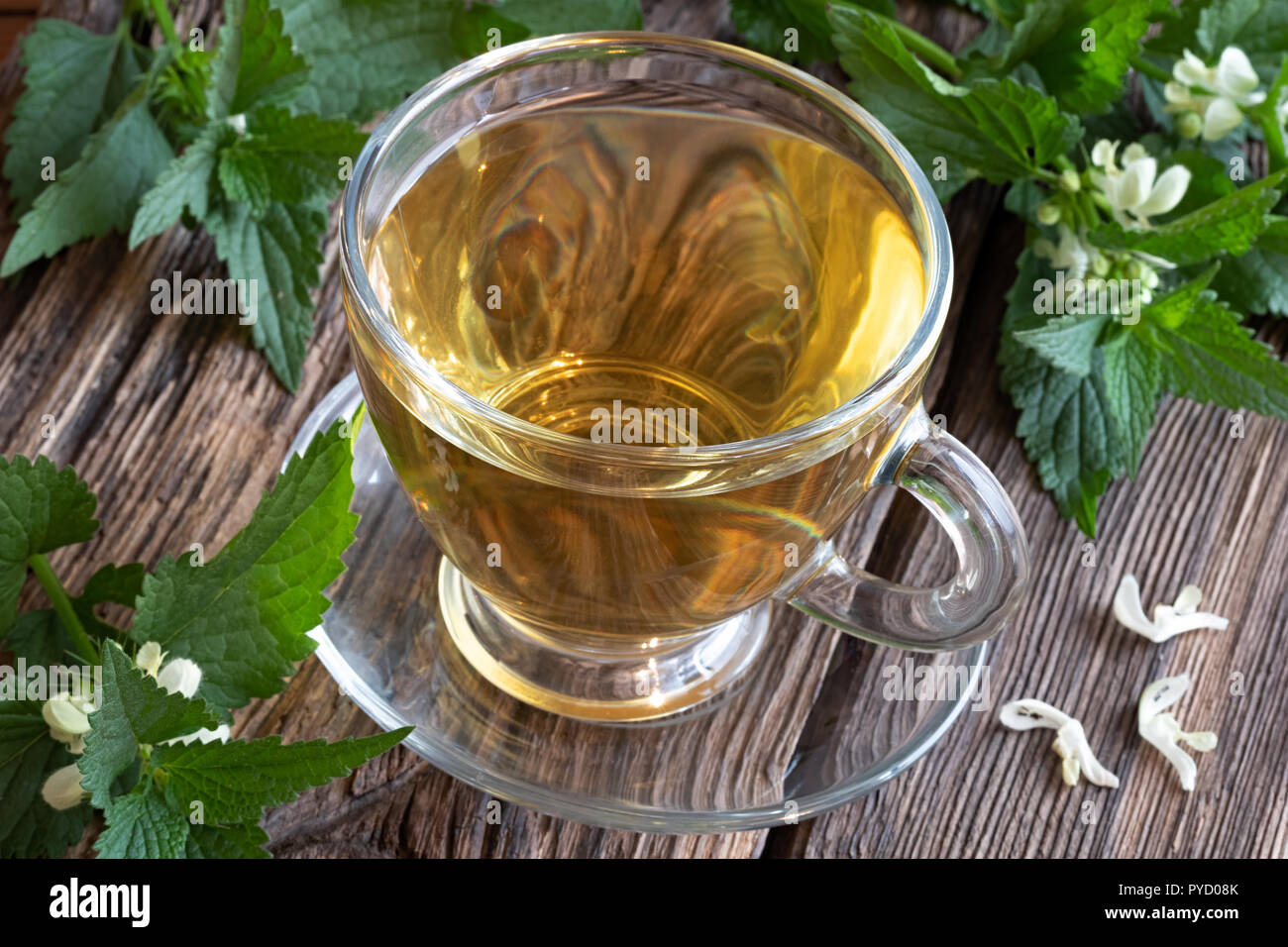 A cup of white dead-nettle tea with blooming Lamium album twigs on a ...