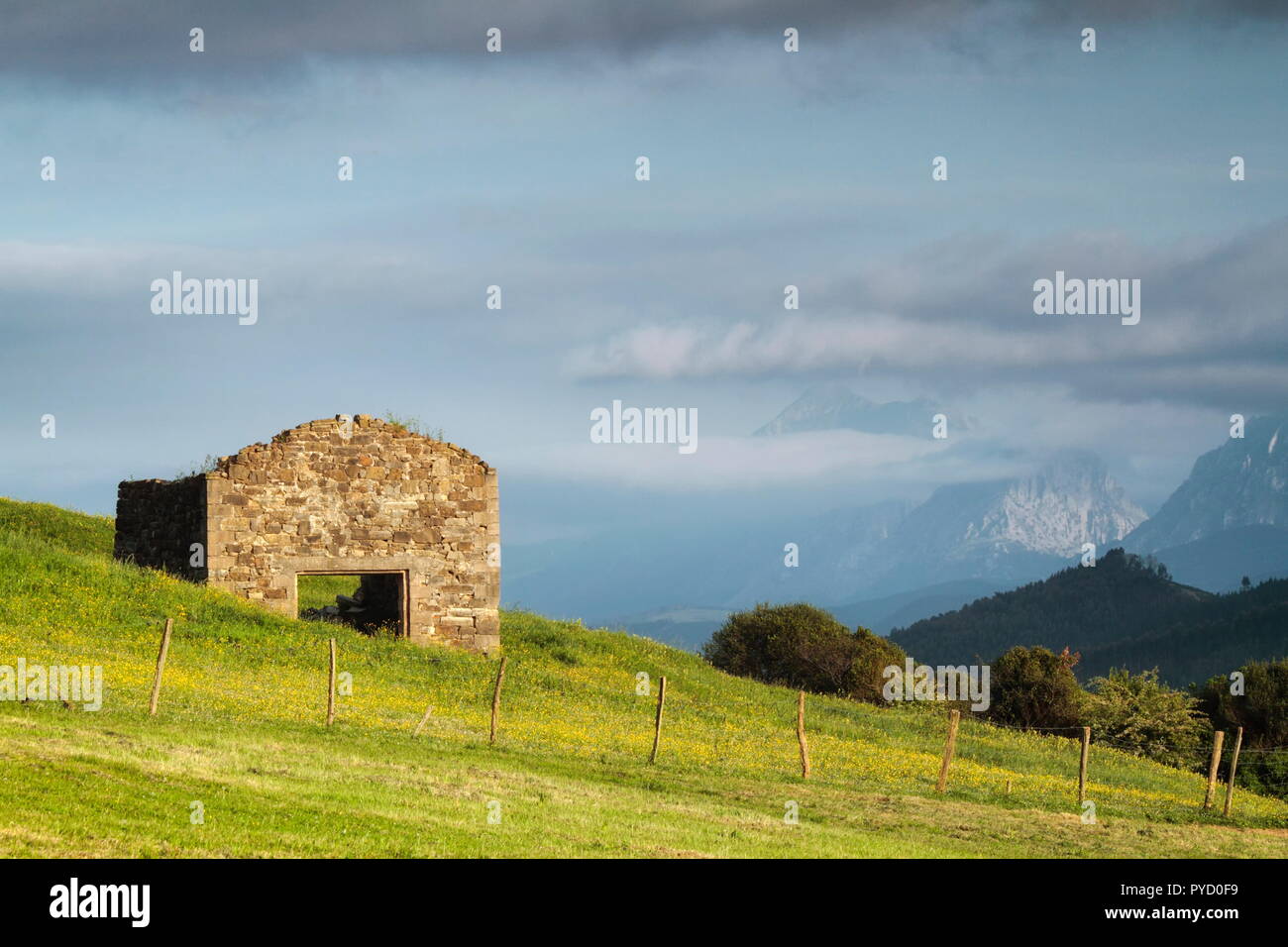 Historic heart horse hi-res stock photography and images - Alamy