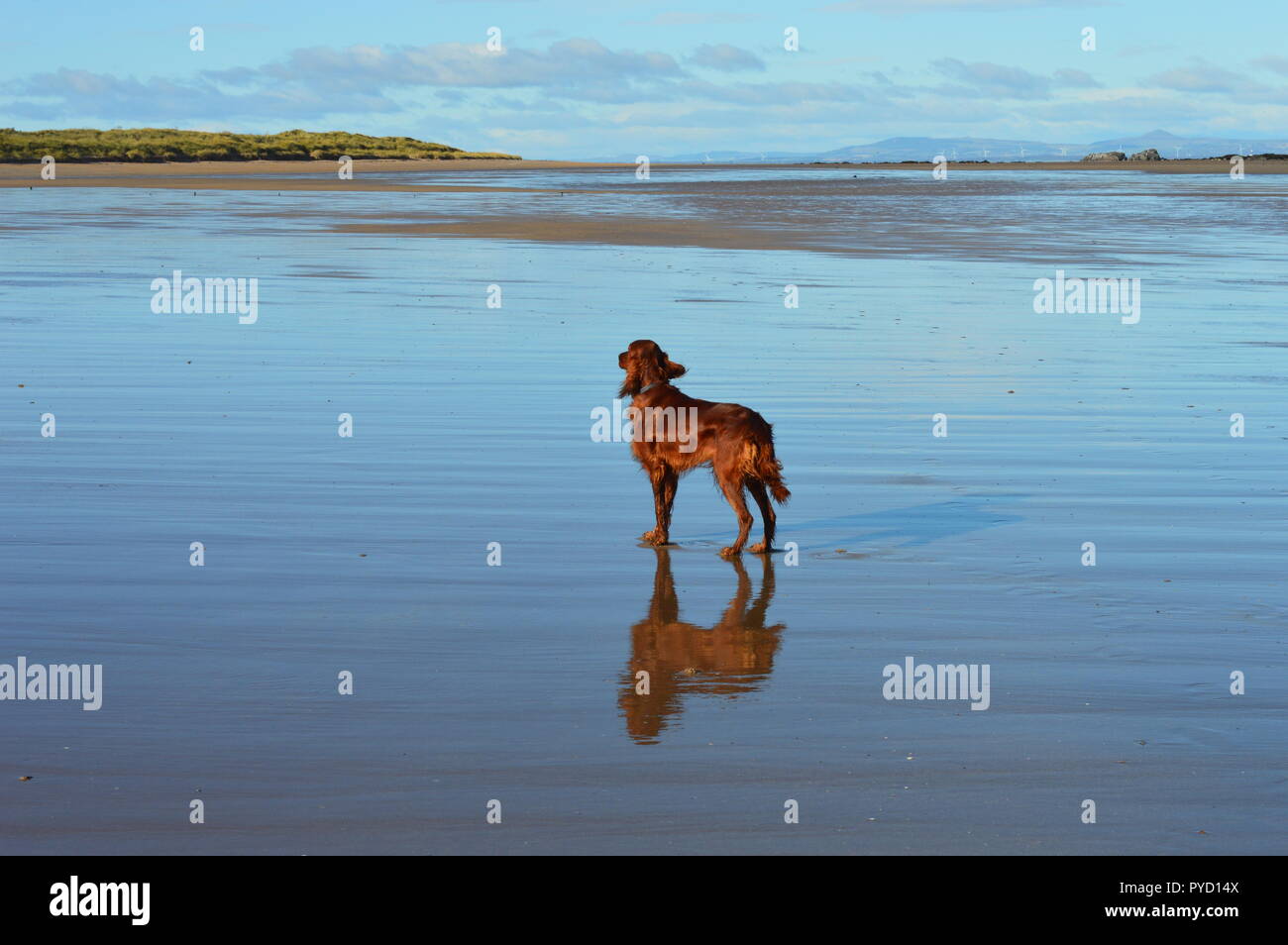 Yellowcraig hi-res stock photography and images - Alamy