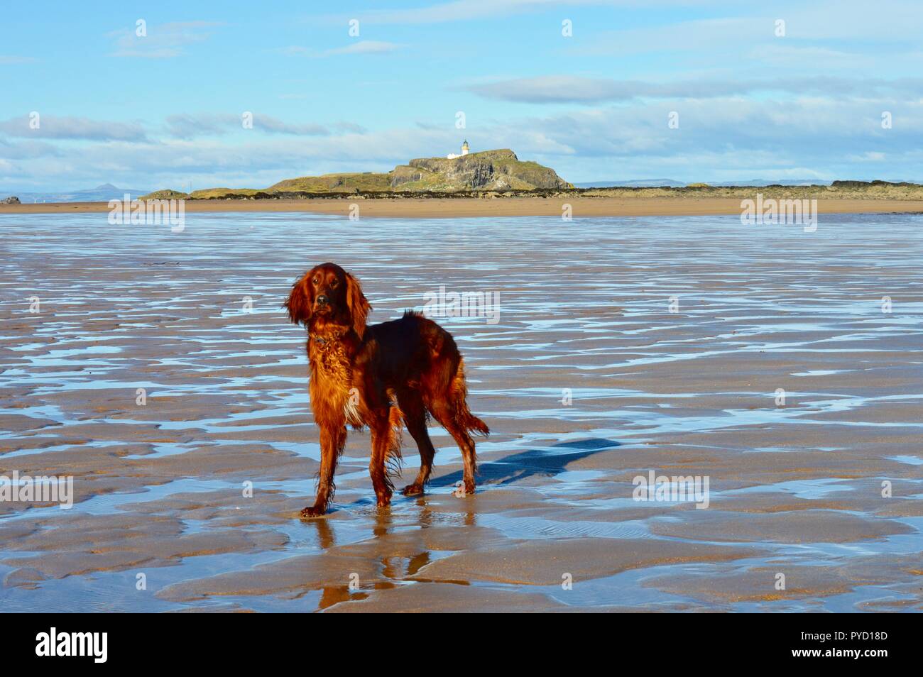 Yellowcraig hi-res stock photography and images - Alamy
