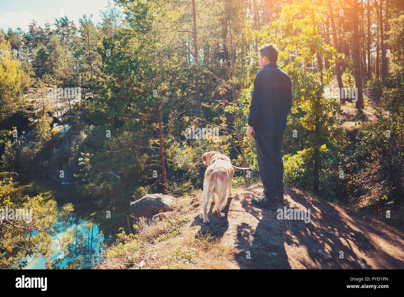 Man walking yellow labrador dog hi-res stock photography and images - Alamy