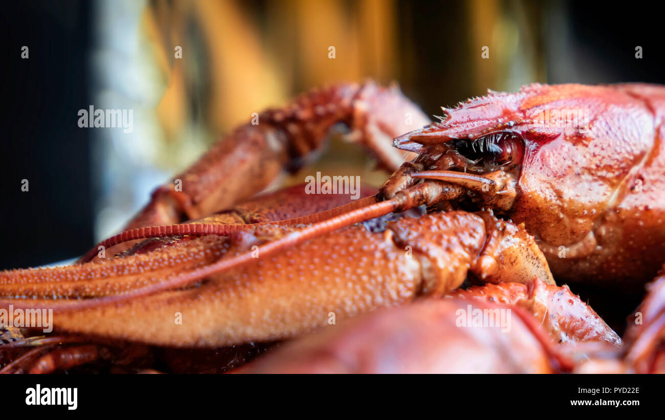 Cooked red crayfish with big claws close-up Stock Photo - Alamy