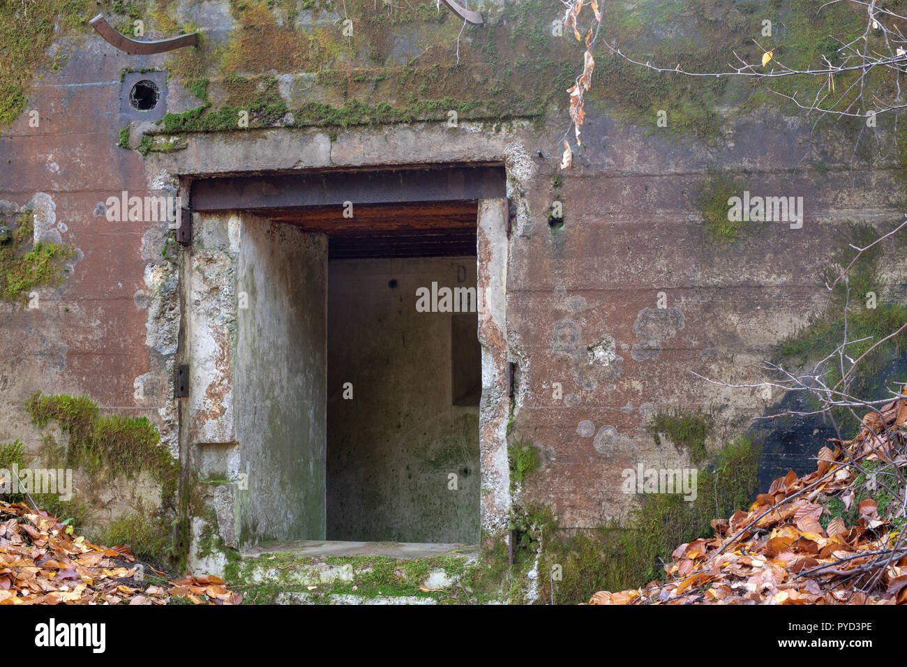 Reinforced Concrete Bunker World War Stock Photos & Reinforced Concrete ...