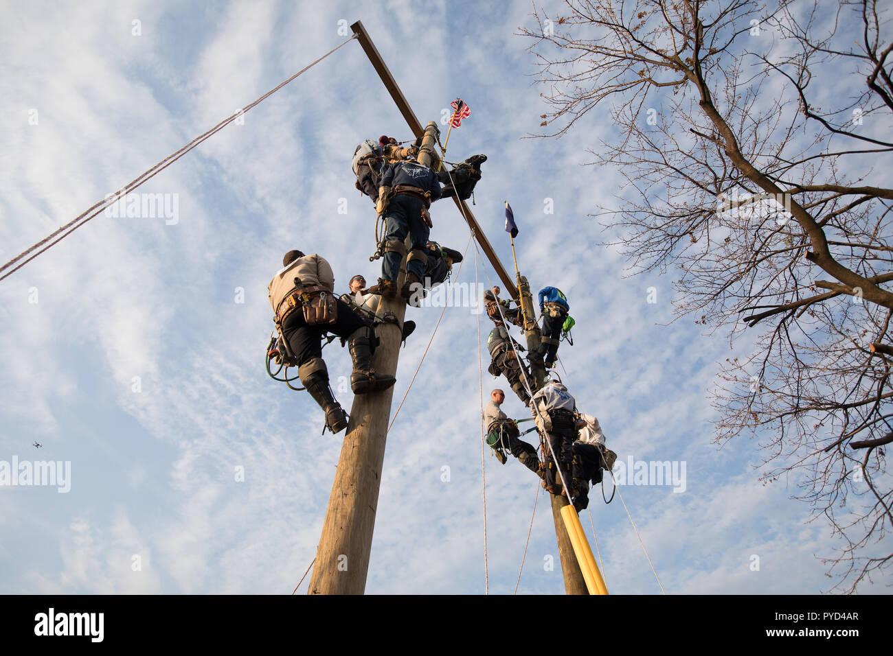 Lineman rodeo hi-res stock photography and images - Alamy