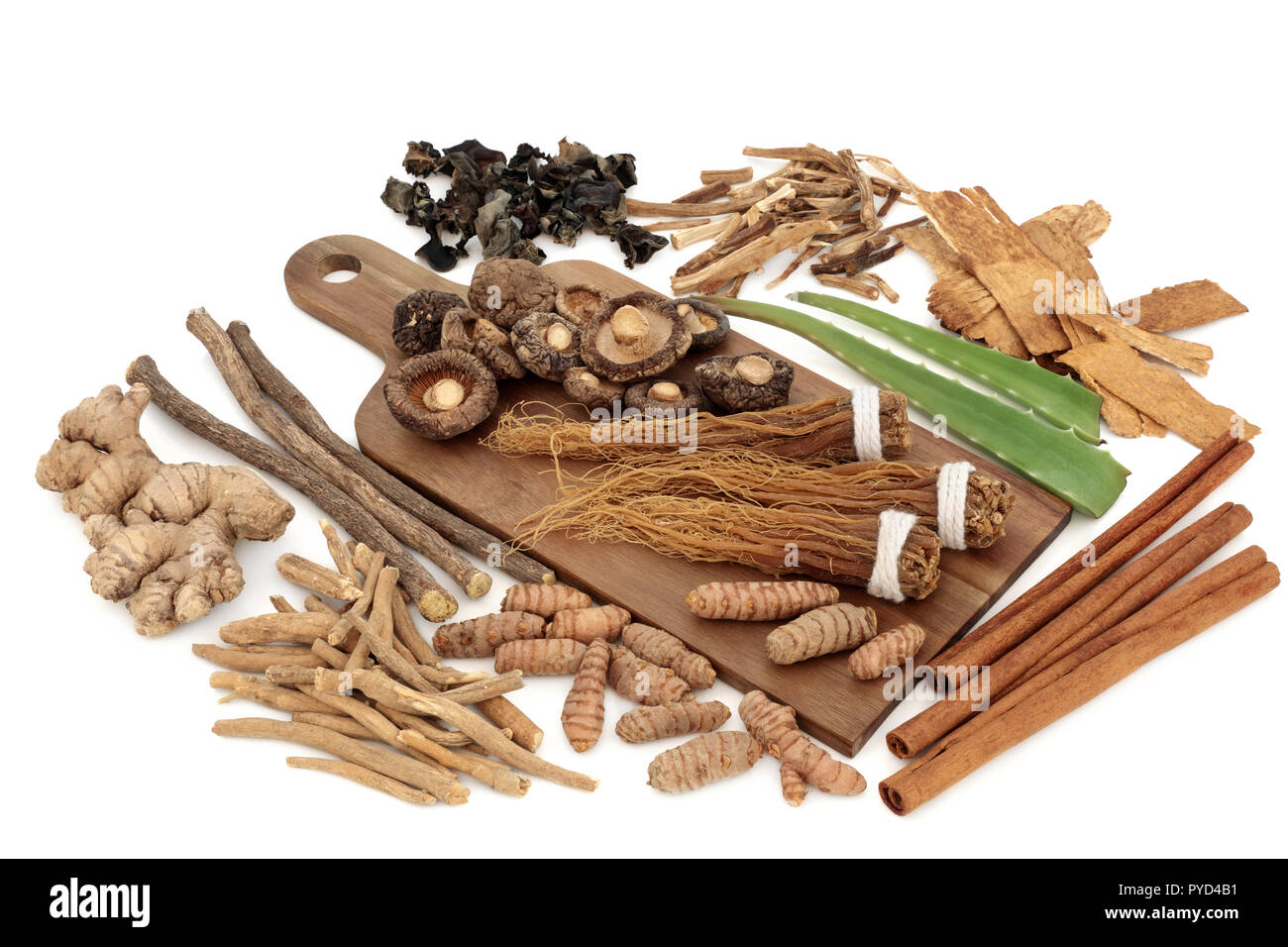 Adaptogen food collection with herbs and spices. Used in herbal ...