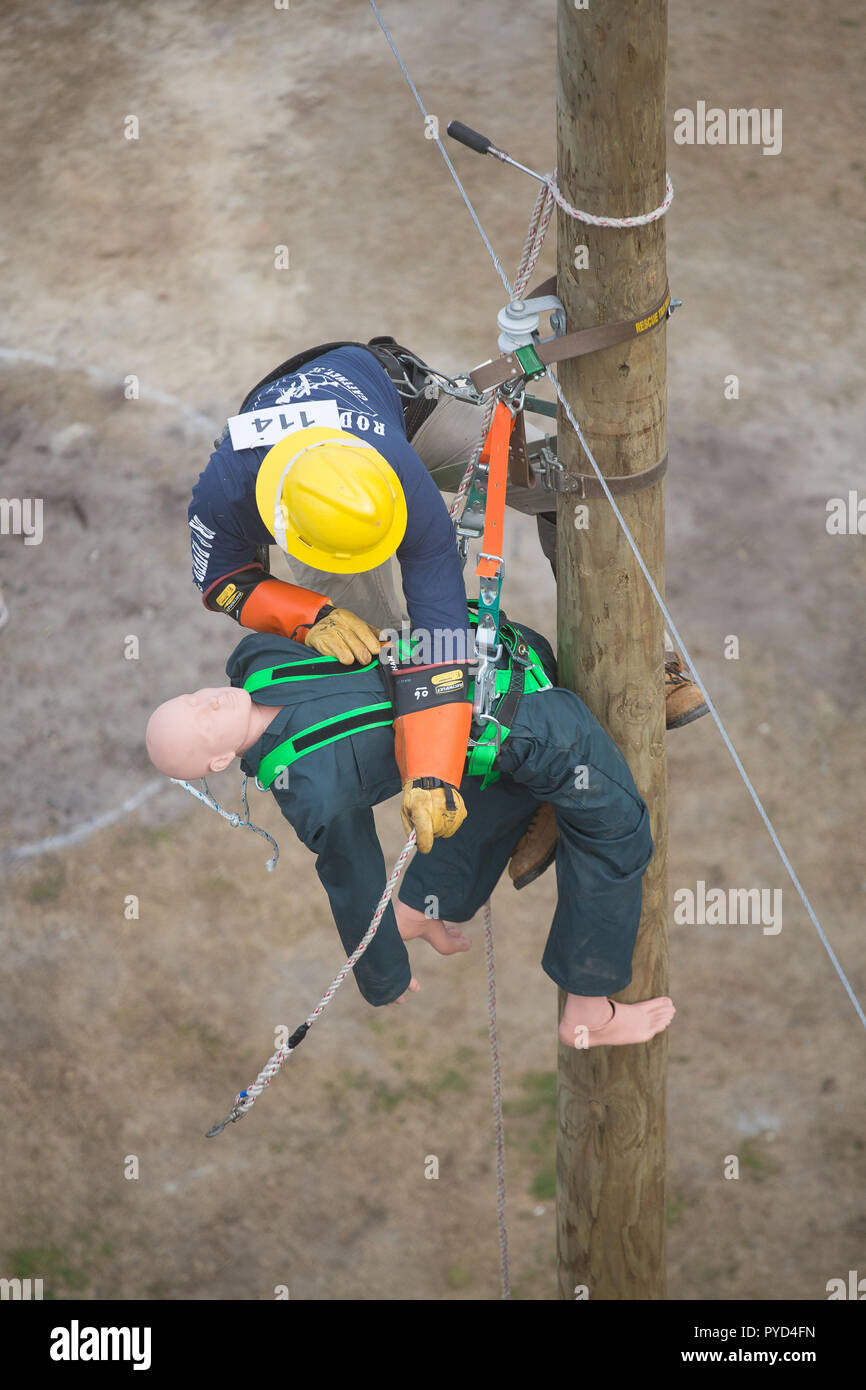 Lineman rodeo hi-res stock photography and images - Alamy