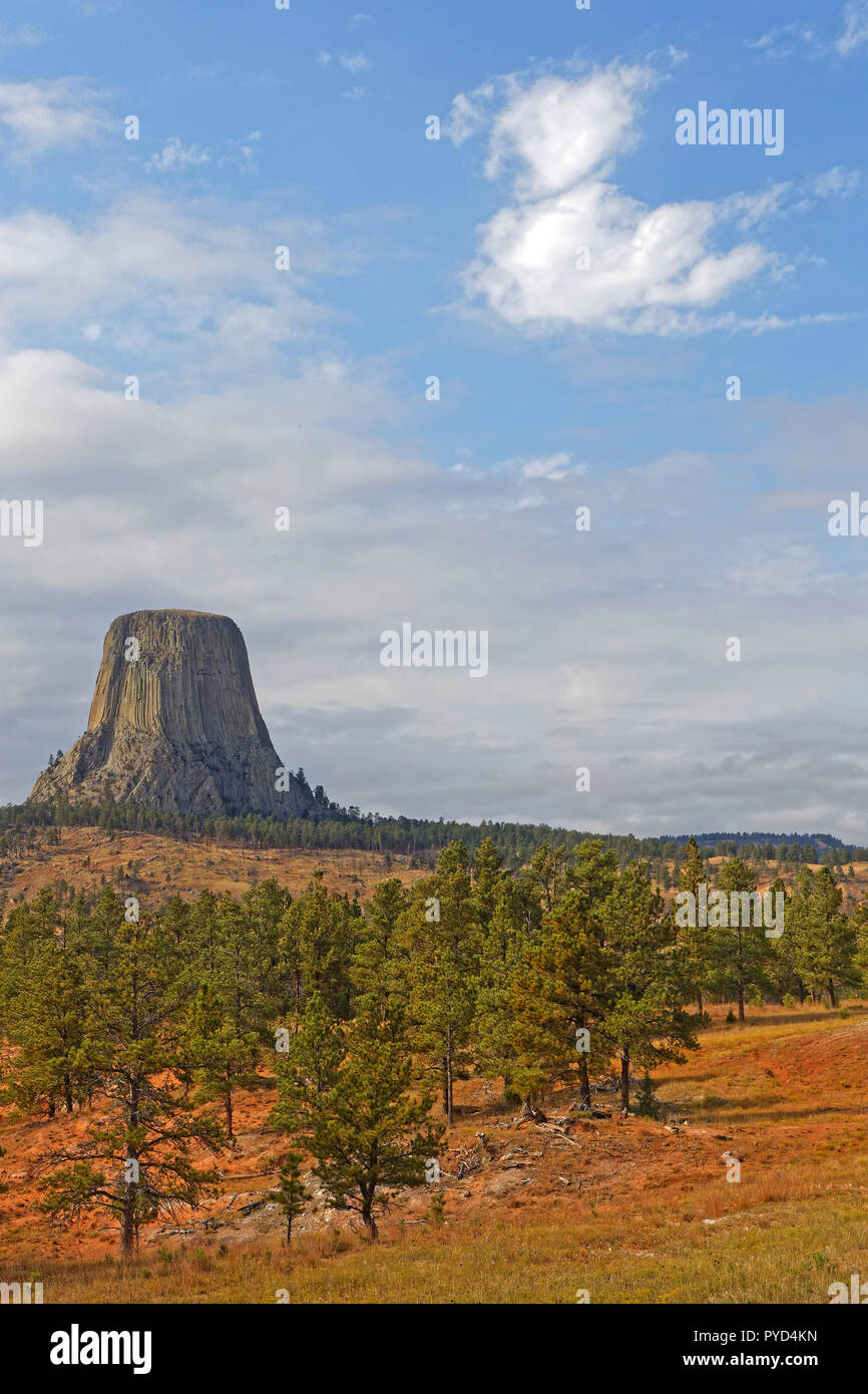 The Devils Tower over the forest Stock Photo - Alamy