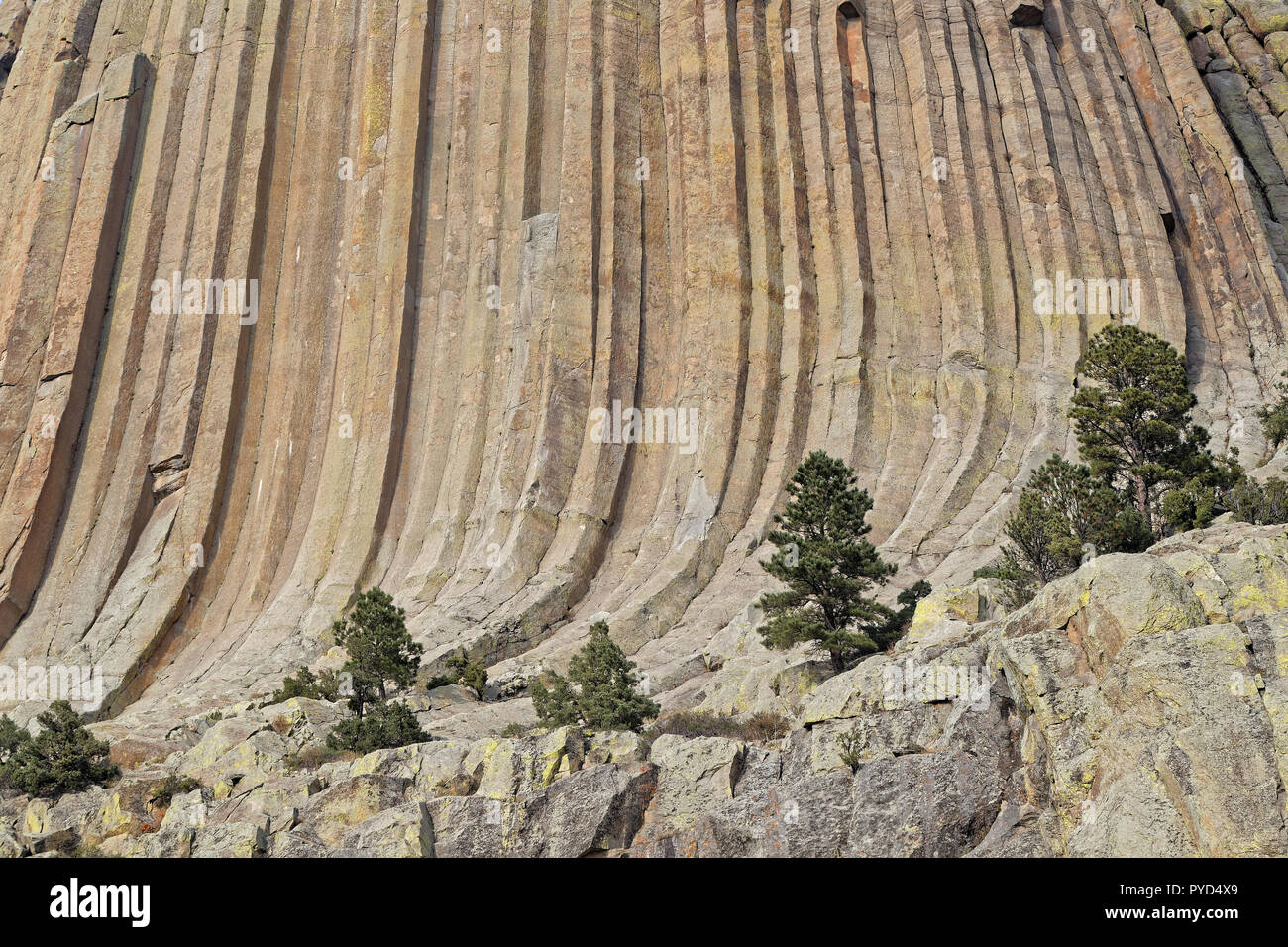Details of the rocks slopes of Devils Tower Stock Photo - Alamy