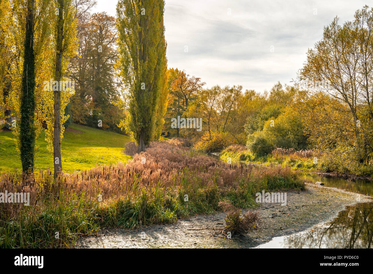 Blenheim Palace Park Stock Photo - Alamy