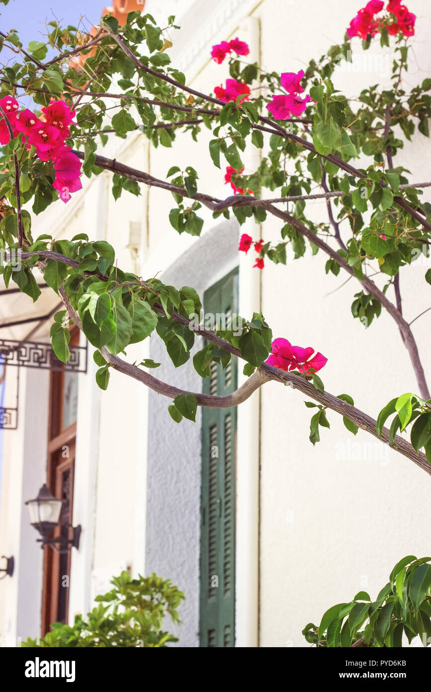 Traditional greek houses hi-res stock photography and images - Alamy