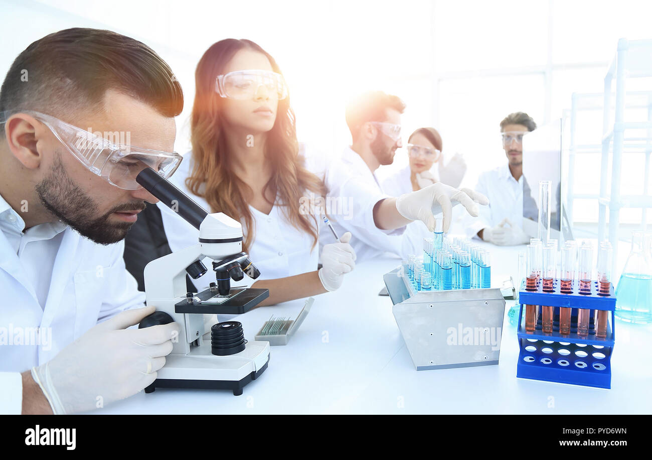 Scientists examining in the lab with test tubes Stock Photo - Alamy