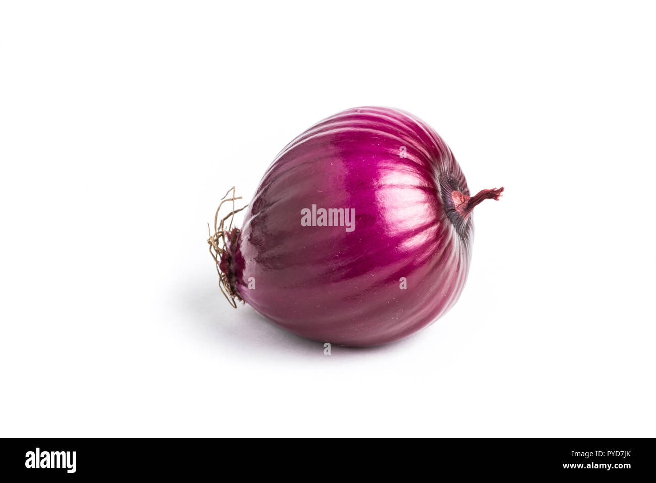 Onion plant roots hi-res stock photography and images - Alamy