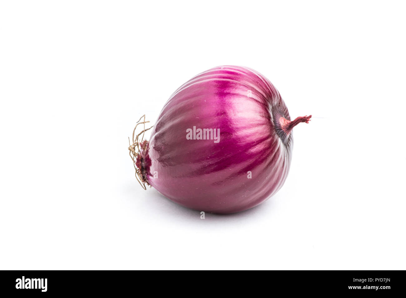 Onion plant roots hi-res stock photography and images - Alamy