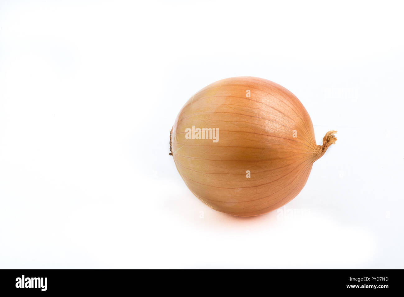 Yellow onion isolated on white background Stock Photo - Alamy