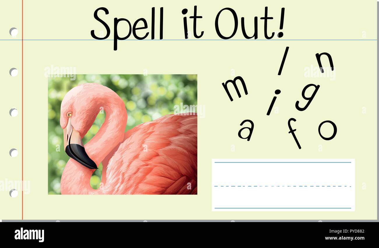 Flamingo Word High Resolution Stock Photography and Images - Alamy