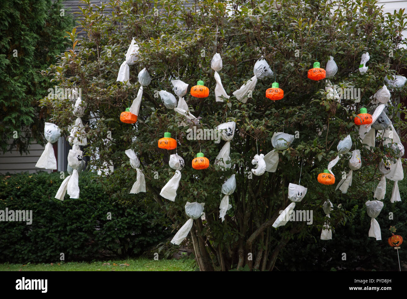 Ghost pumpkins hi-res stock photography and images - Alamy