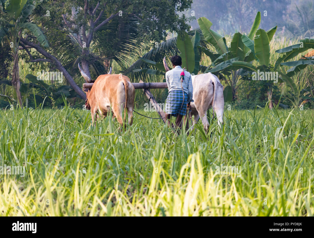 Farmers feild hi-res stock photography and images - Alamy